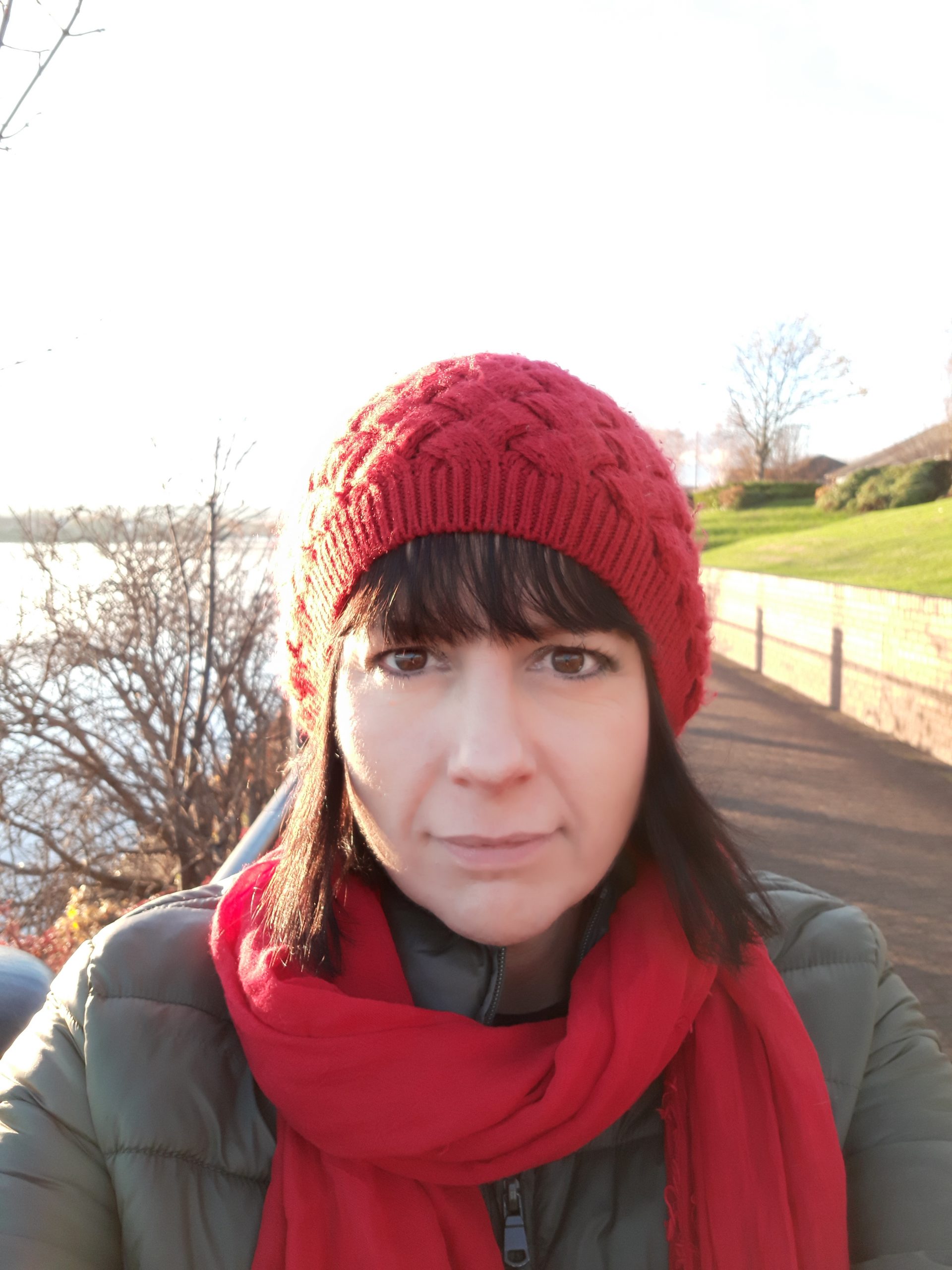 Jules Dickinson - Sentientism