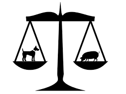 Sentientist Justice - Sentientism